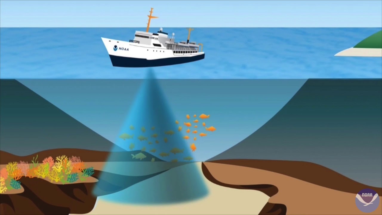 Researchers Study Ecological Role of North Carolina Shipwrecks and ...