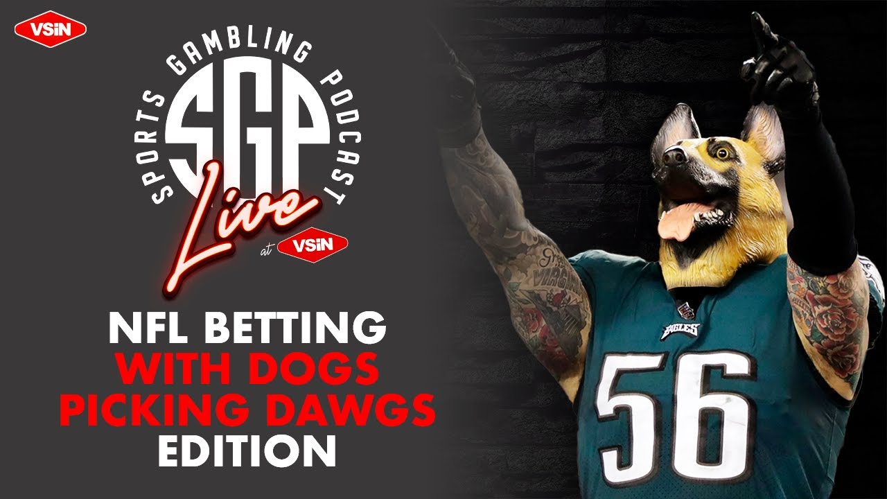 NFL Betting with Dogs Picking Dawgs - YouTube
