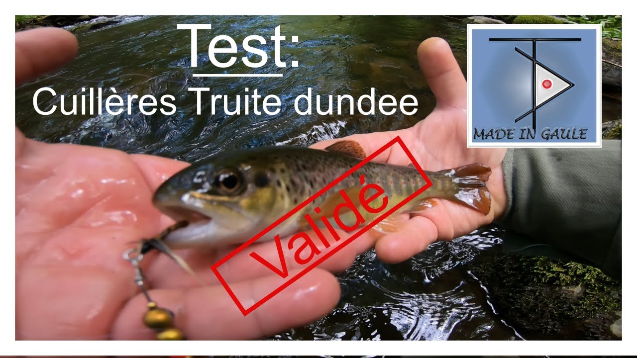 Truites aux leurres : Test cuillères Truite Dundee "Validé" - YouTube