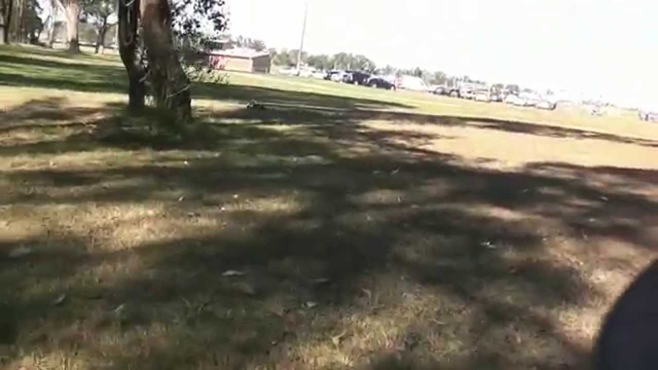 ARX 2 Speed Nitro & MM450 RC Dirt Bikes - YouTube