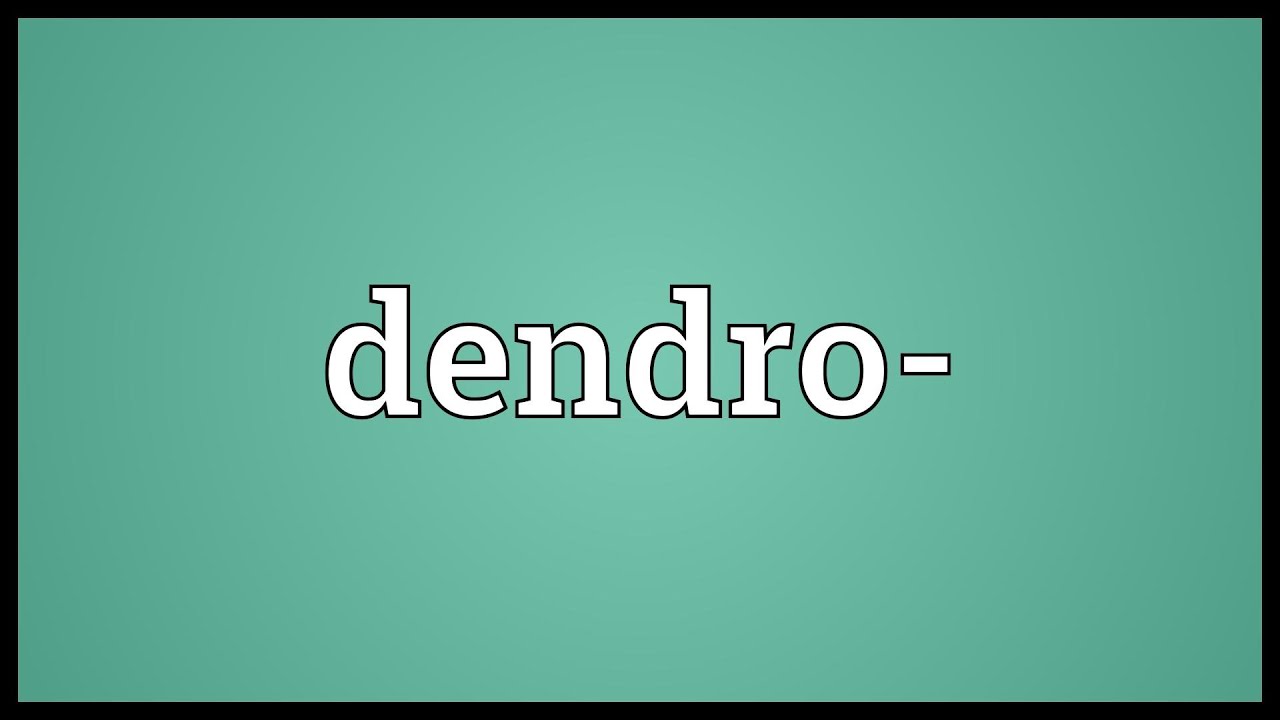 Dendro- Meaning - YouTube