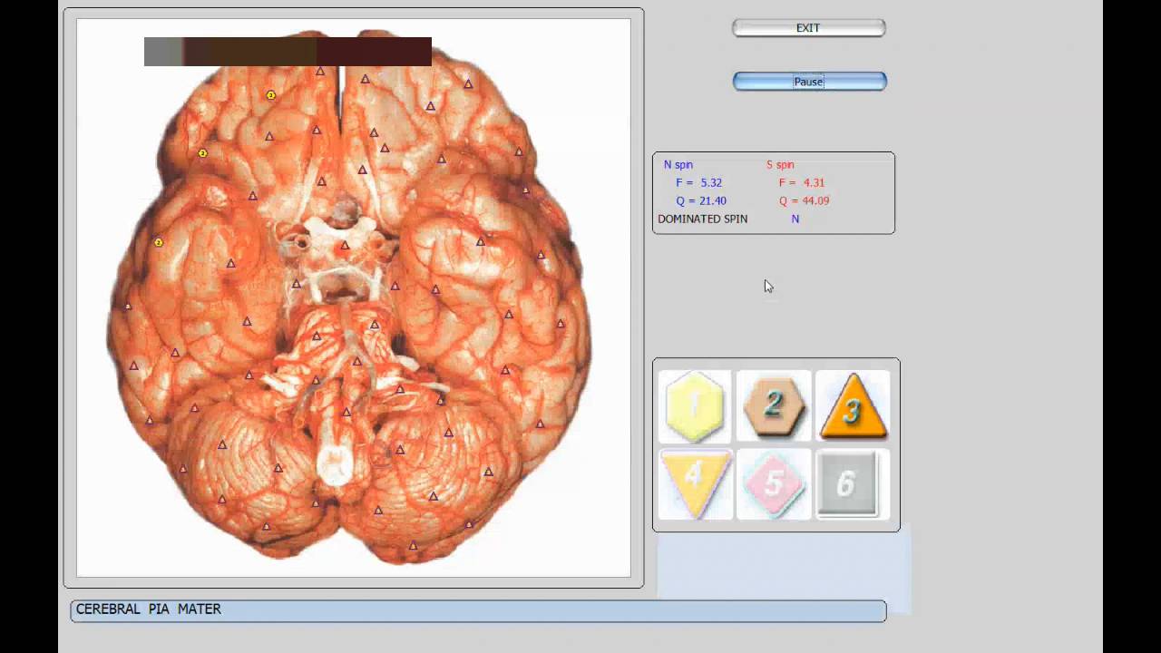 8D LRIS health analyzer - YouTube