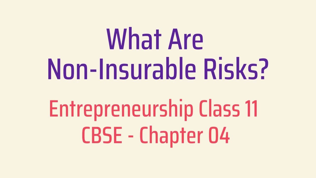 What Are Non-Insurable Risks? Entrepreneurship Class 11 Chapter 4 - YouTube