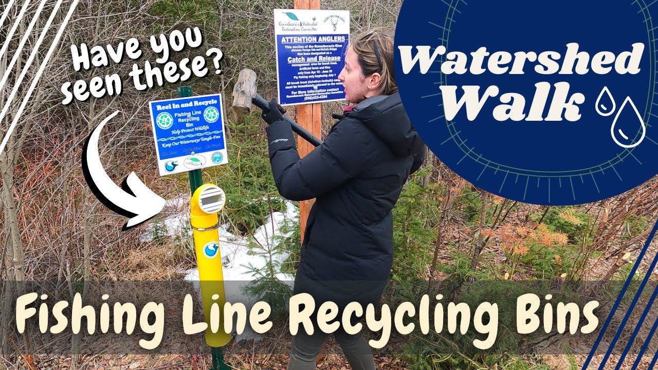 Fishing Line Bins - Watershed Walk - YouTube