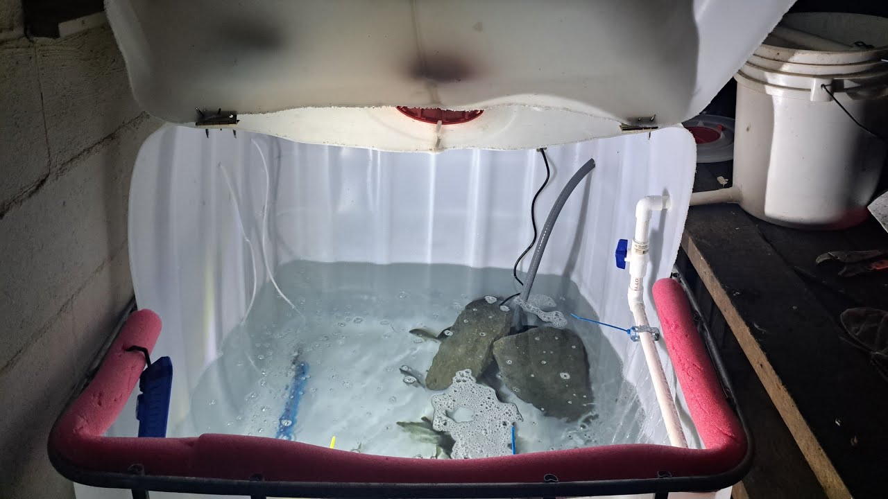 I built my own bait tank! and STOCKED IT!! bait tank build DIY - YouTube