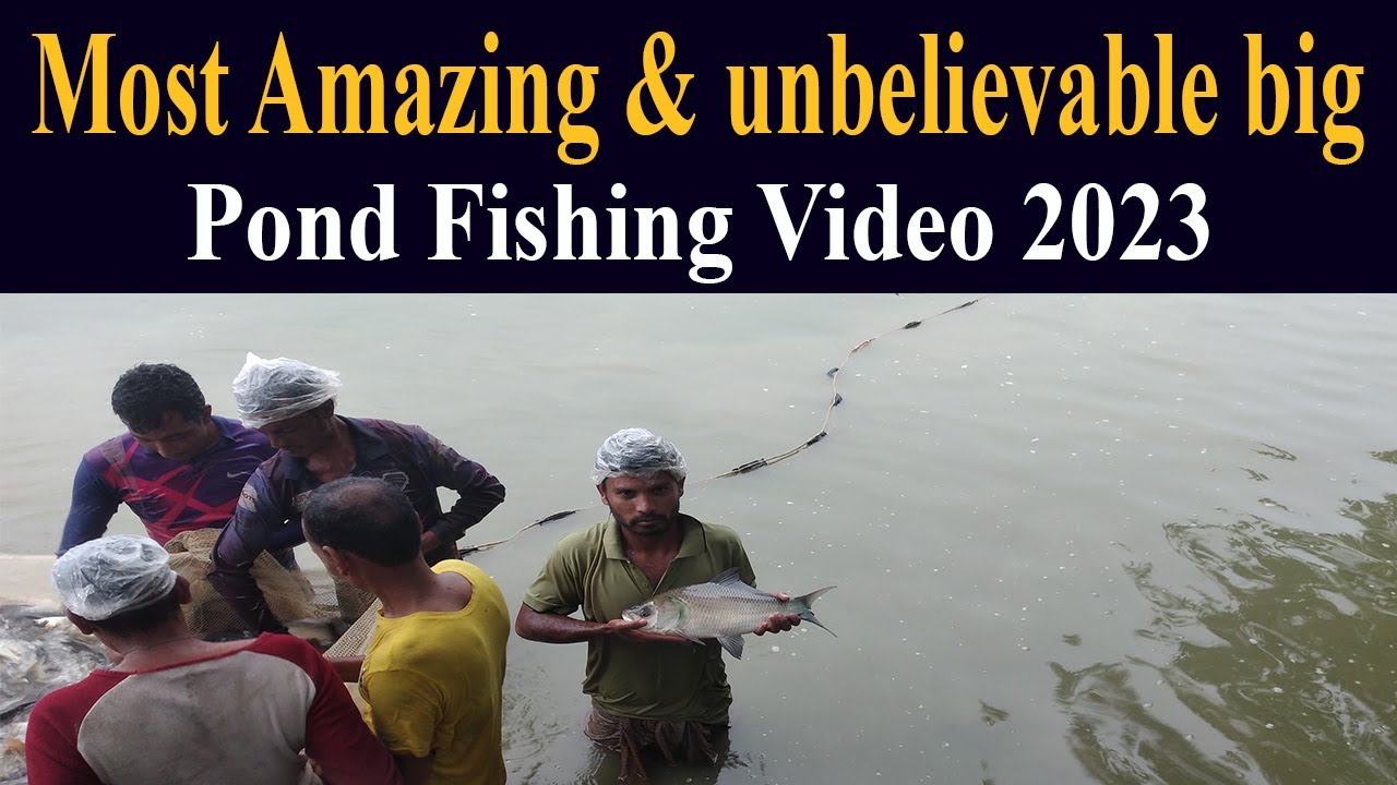 Most Amazing Fish & Unbelievable Big Pond Fishing Video 2023 - YouTube