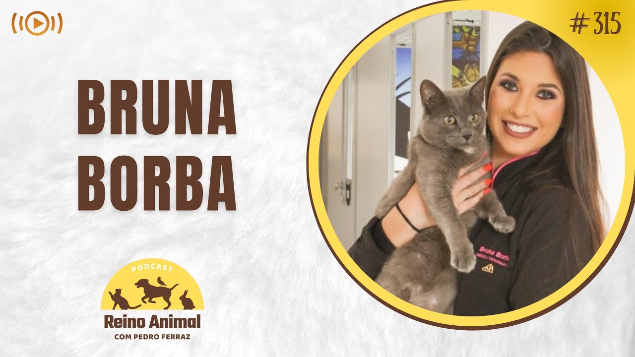 BRUNA BORBA | Reino Animal #315 - YouTube