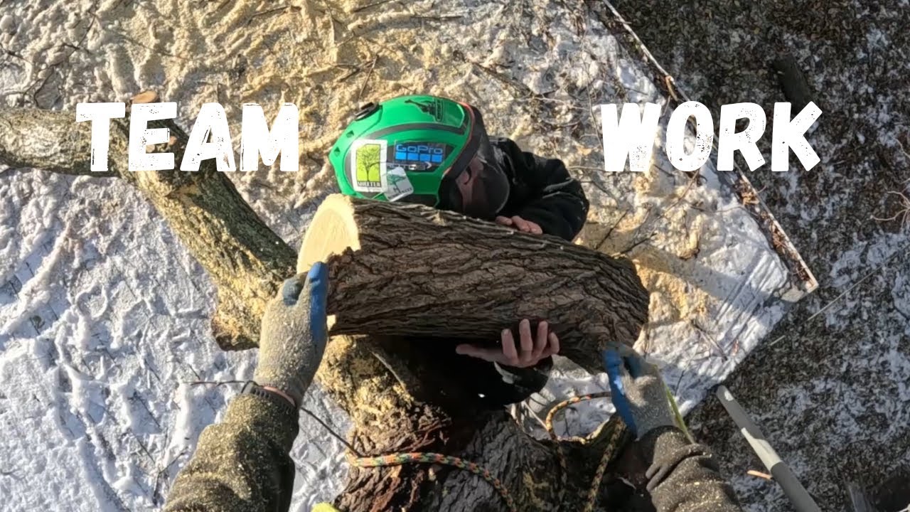 Tree work in the Snow - YouTube