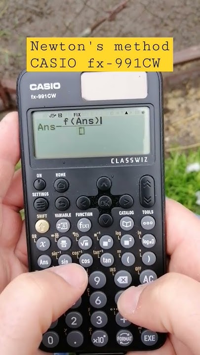 Newton's method on CASIO fx-991CW with chickens and gooses and few turkeys in the background ...