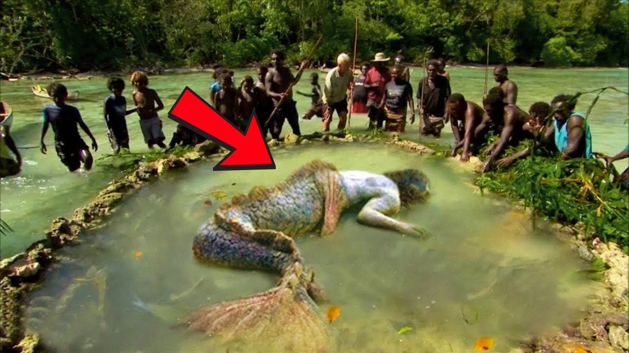 UMA SEREIA REAL FOI CAPTURADA POR CÂMERAS. AQUI ESTÁ O QUE ACONTECEU ...