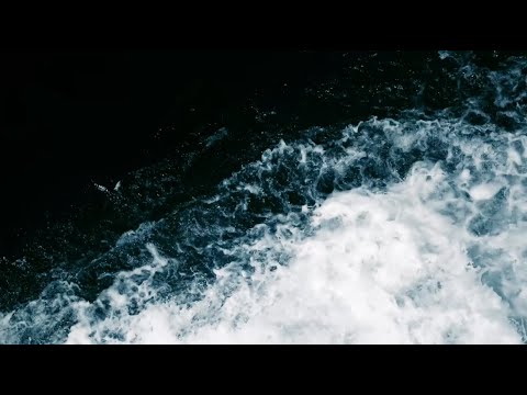 Into the Cold - Sophie de Graaf - YouTube