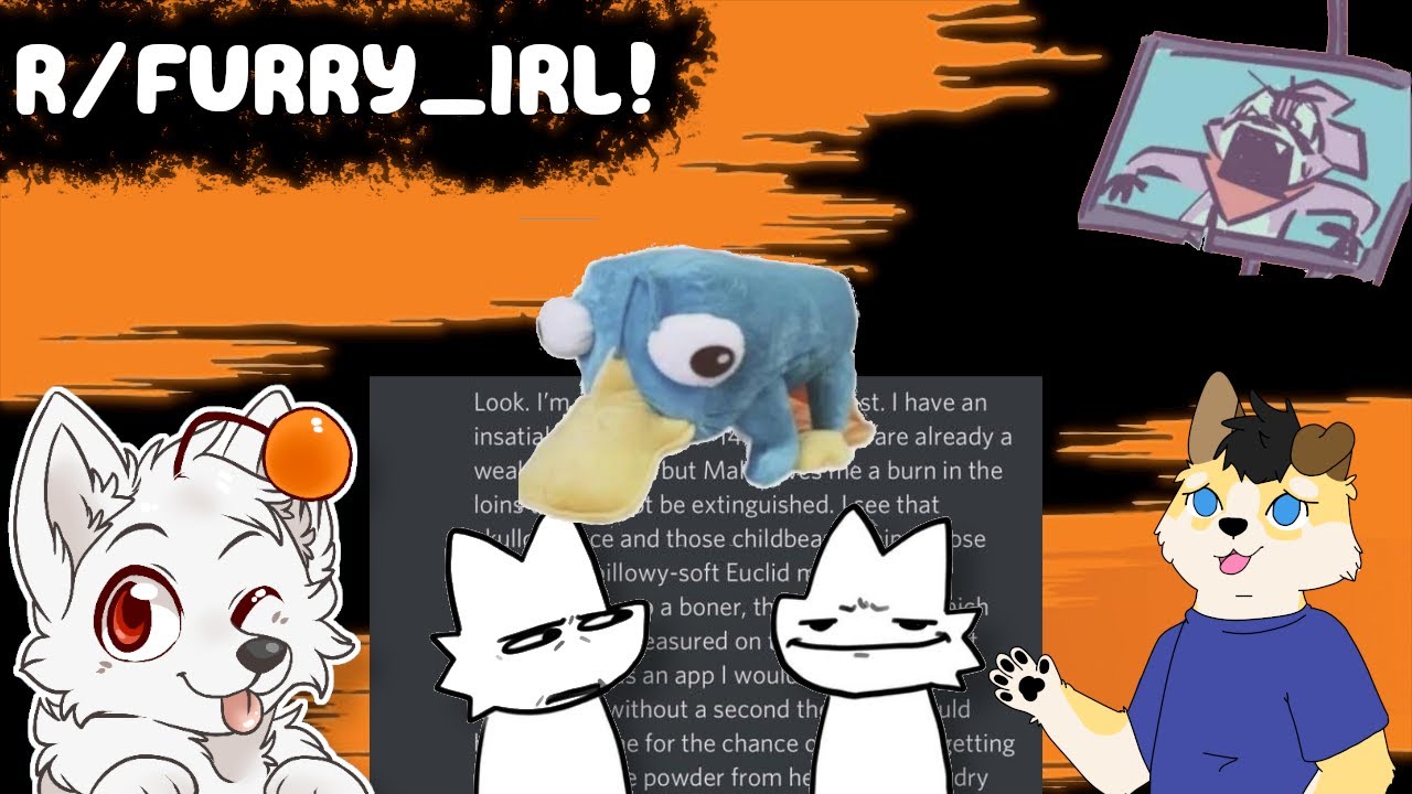 A Furry_irl Video to Cure the FOMO - YouTube