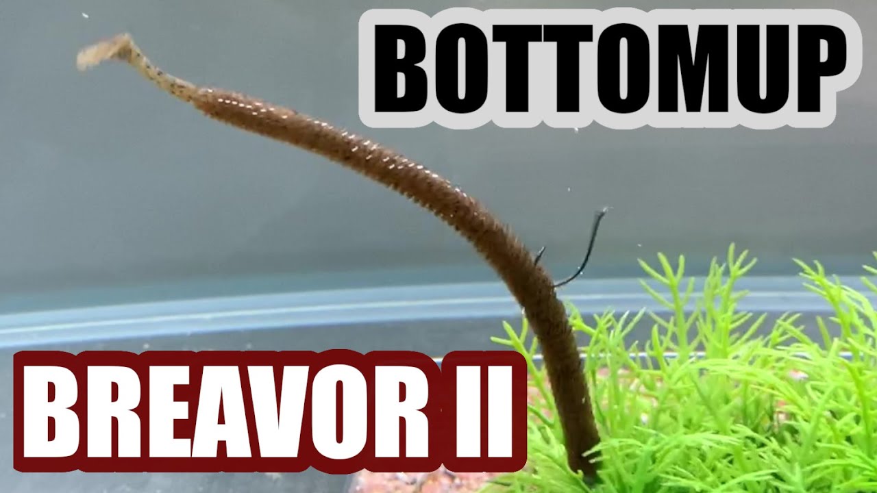 ボトムアップ ブレーバーⅡ 水中アクション動画/BOTTOMUP BREAVOR Ⅱ UNDERWATER LURE ACTION - YouTube