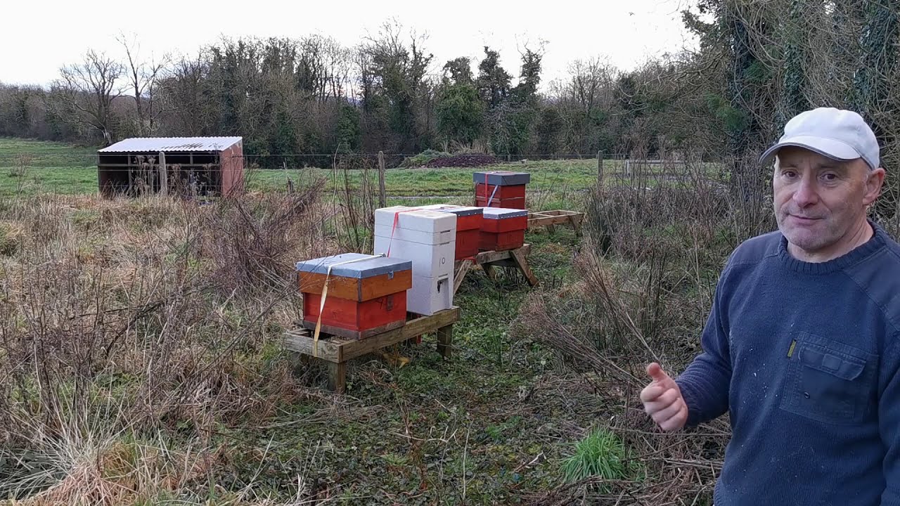 Irish Beekeeping: Hive Site Relocation Part 2 - YouTube