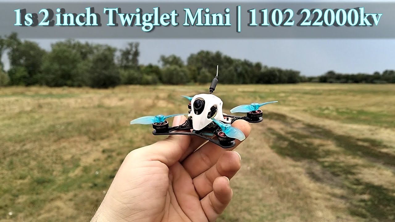 1s 2 inch Twiglet mini | 1102 22000kv - YouTube