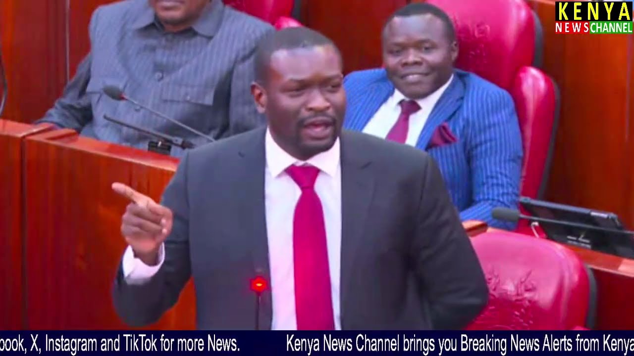 'I AM NOW THE MAJORITY LEADER IN SENATE' Sifuna and Azimio Senators ...