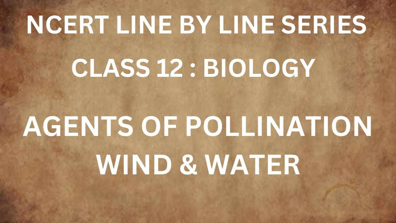 Agents of pollination - Wind & Water | NCERT Line by Line Series | NEET ...