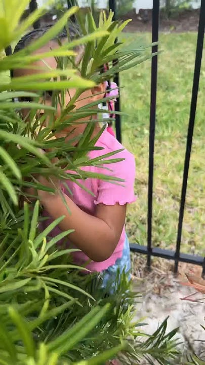 Mom Catches Daughter Sneaking Snacks Outside Shorts Youtube