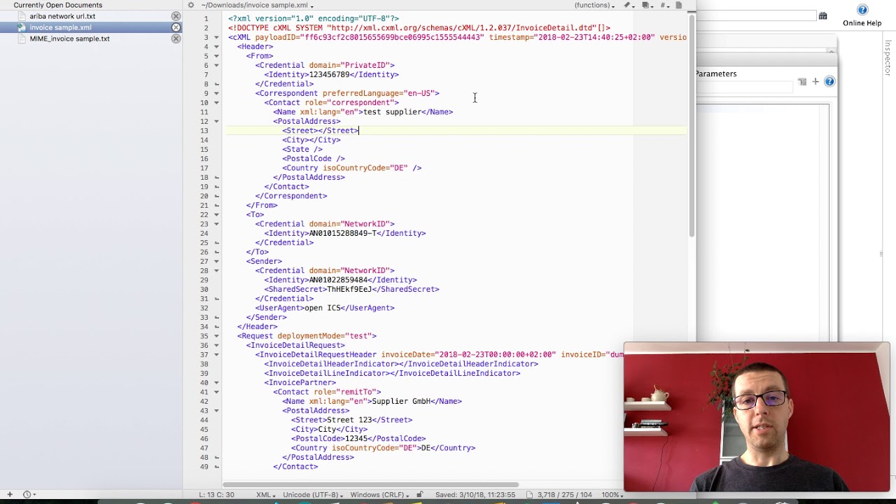 Posting cxml and MIME to Ariba Network - YouTube