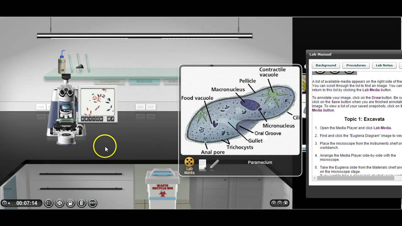 Late Nite Lab - Protist Lab - YouTube