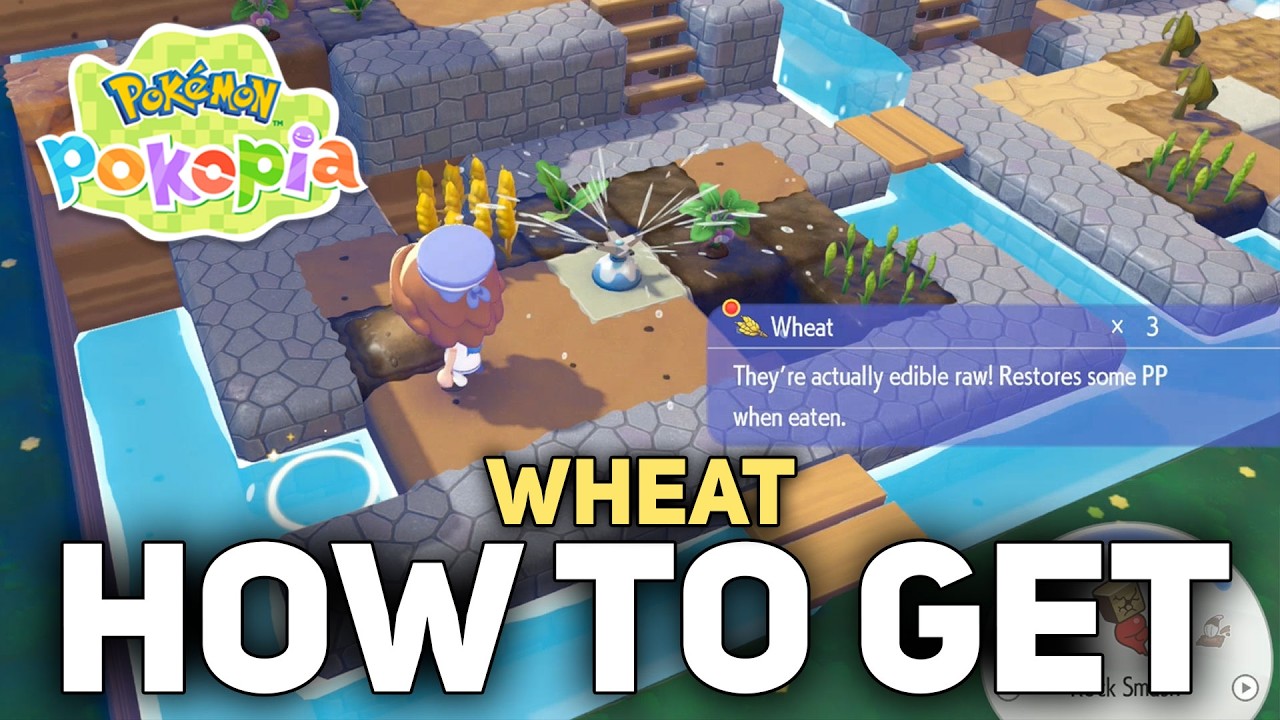 How To Get Wheat - Pokemon Pokopia - YouTube