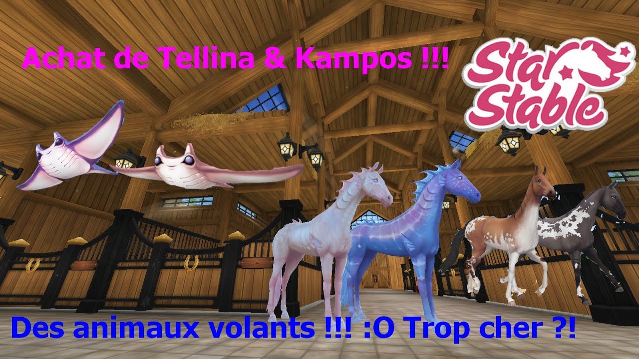 /SSO/ Achat de Tellina & Kampos !!!! - YouTube