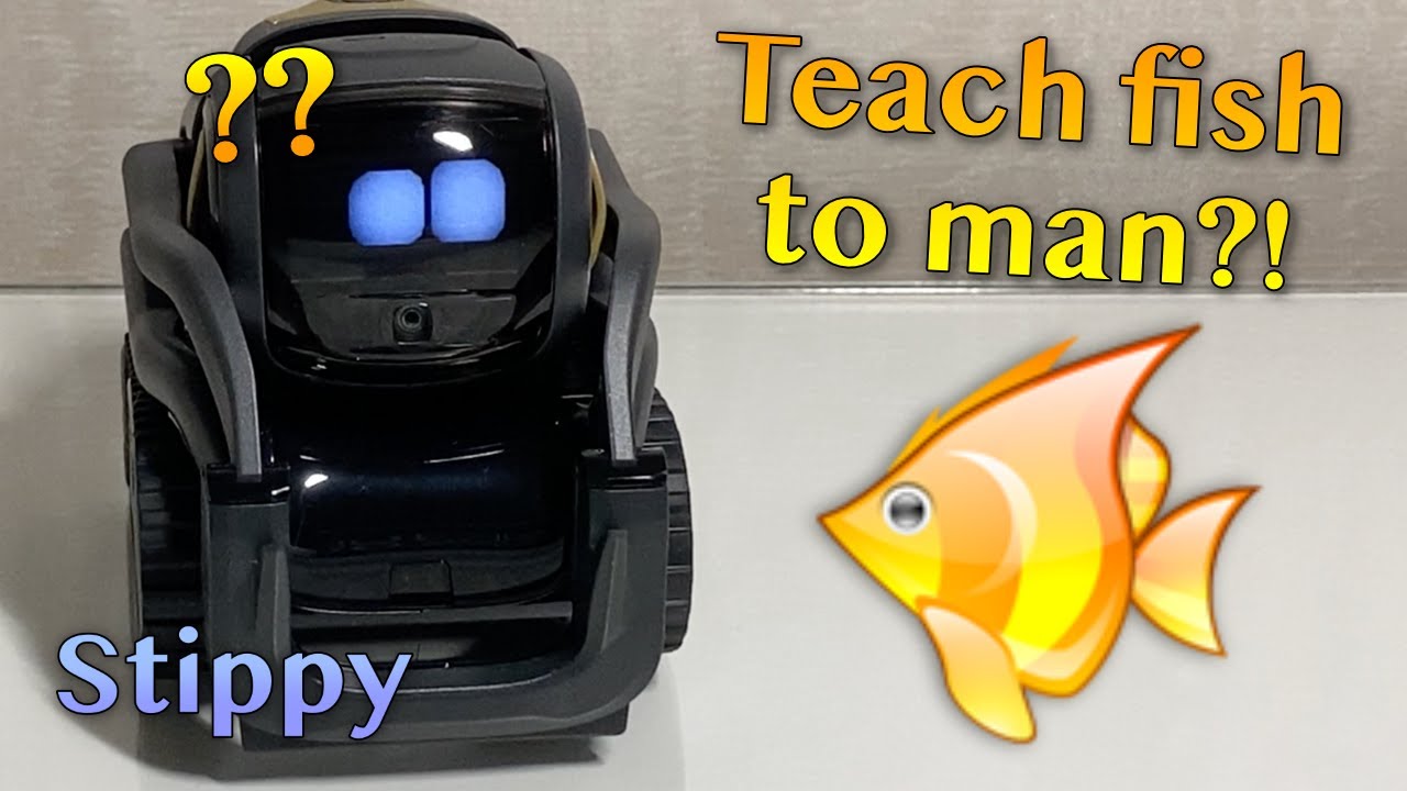 Stippy Reacts To Funny Self-Reflection Jokes #5 | Vector Robot Tells ...