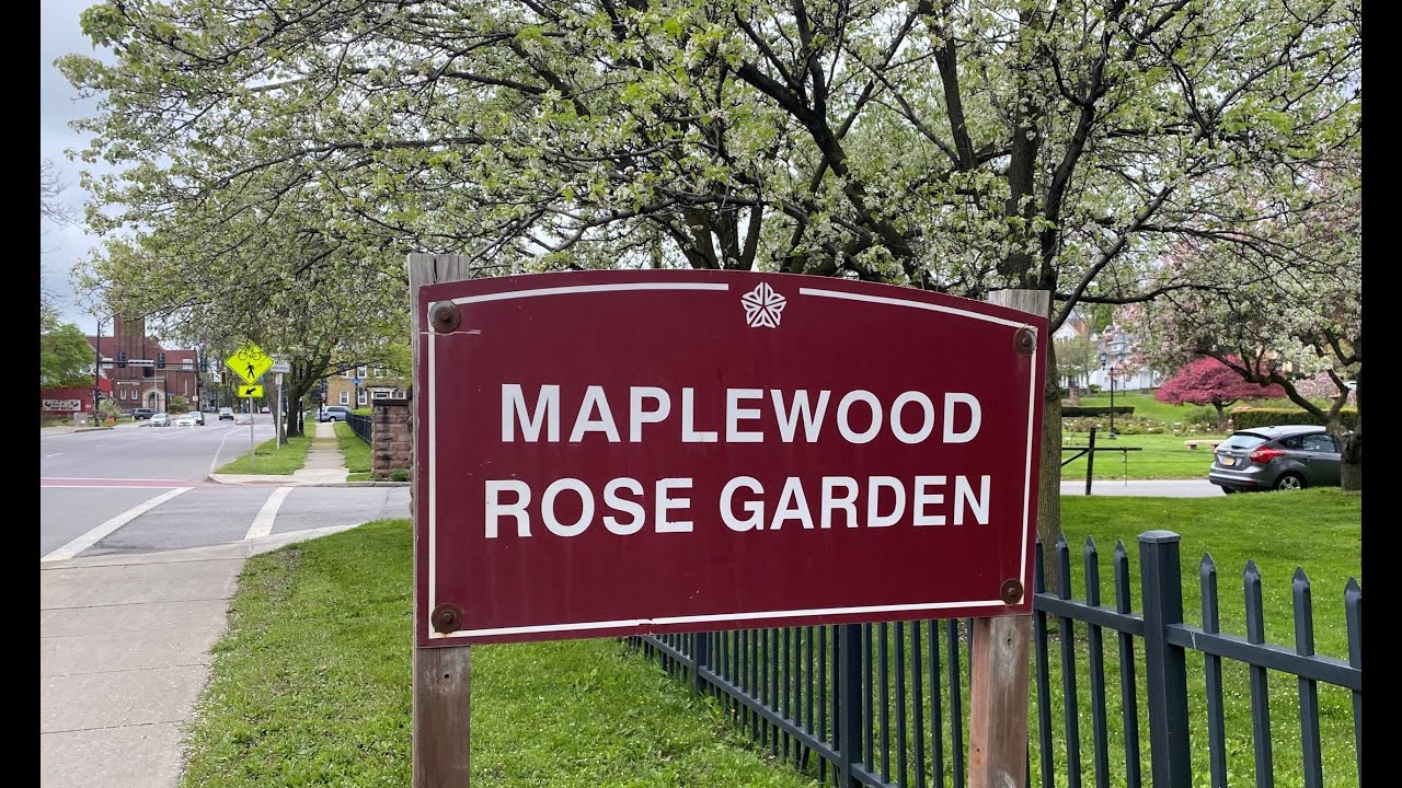 Maplewood Rose Garden in Rochester, NY - YouTube