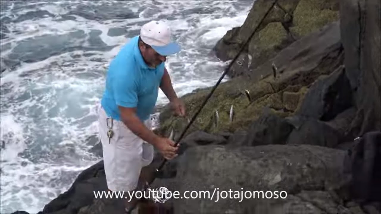 Rock fishing / Pesca chicharro Pesca carapau Atlantic horse mackerel ...