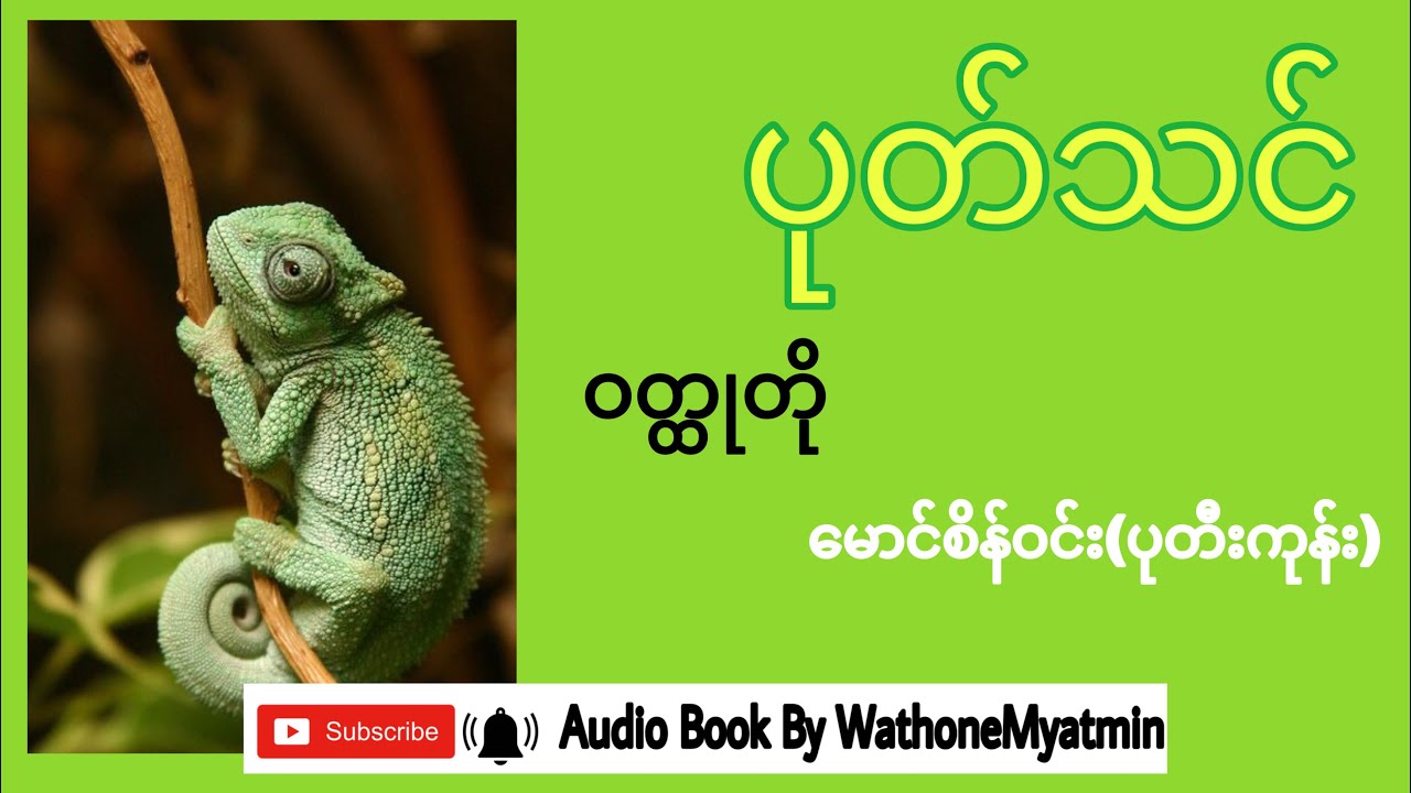 Mg Sein Win(Padigon)_ပုတ်သင်_short story - YouTube