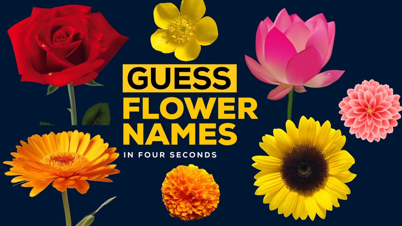 🌸 Guess the Flower Names in Seconds! | Fun Game for Kids 🌸 - YouTube