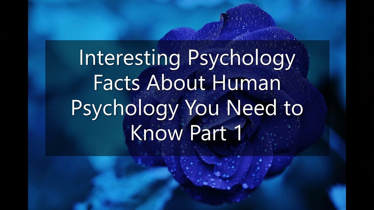 Interesting Psychology Facts About Human Psychology You Need to Know ...