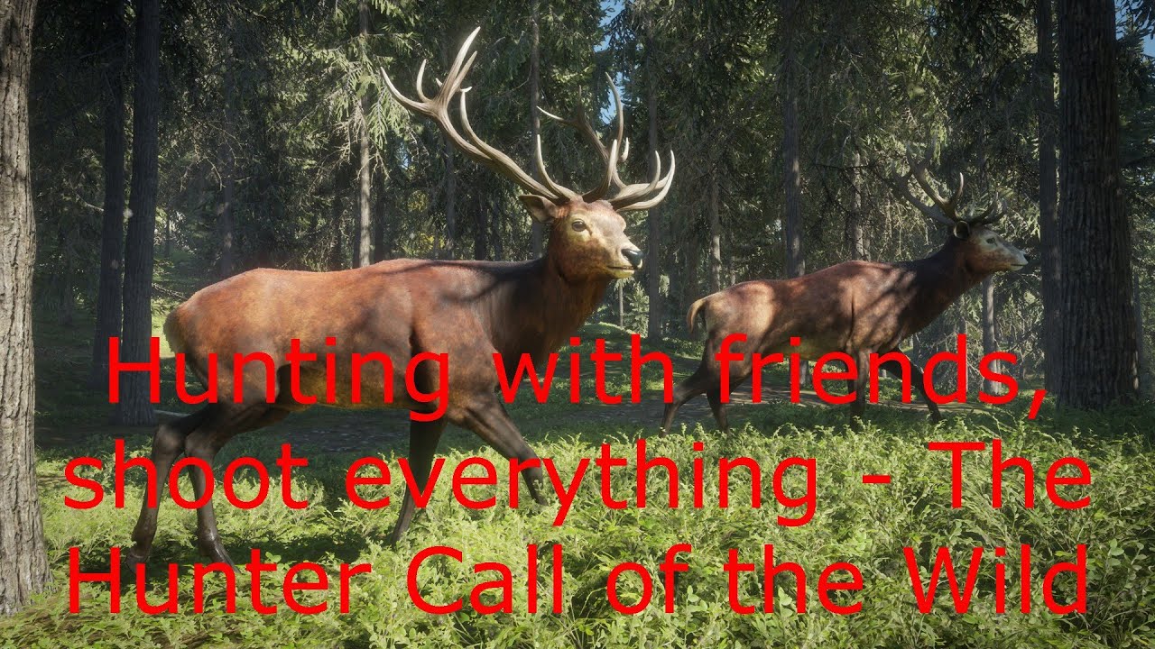 🔴Hunting with friends, shoot everything - The Hunter Call of the Wild 🔴 ...