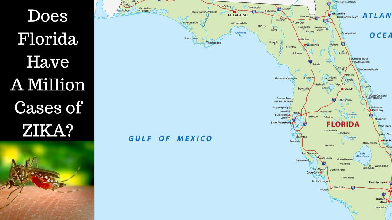 Could Florida Have A Million Cases of ZIKA? | Clearwater, Florida - YouTube