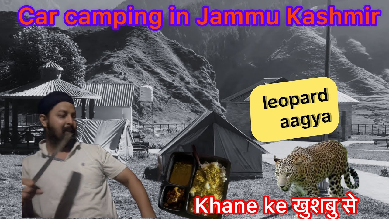 आज तो Bal Bal बच्चे tent कें पासआज्ञा leopard | Car camping in Jammu ...