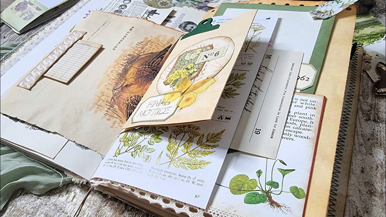 Finishing Touches to the Vintage Botanical Journals - YouTube