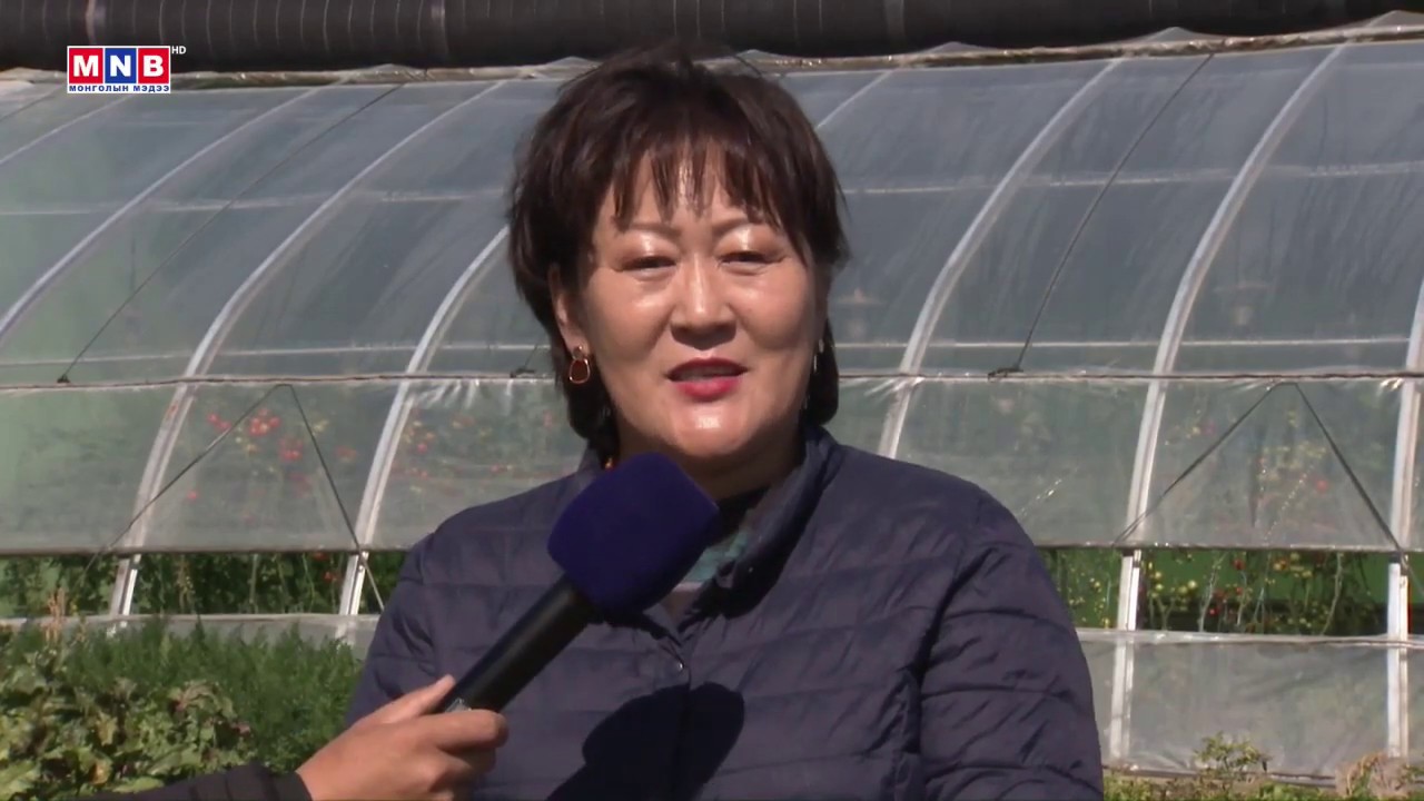 News from Tov aimag - YouTube