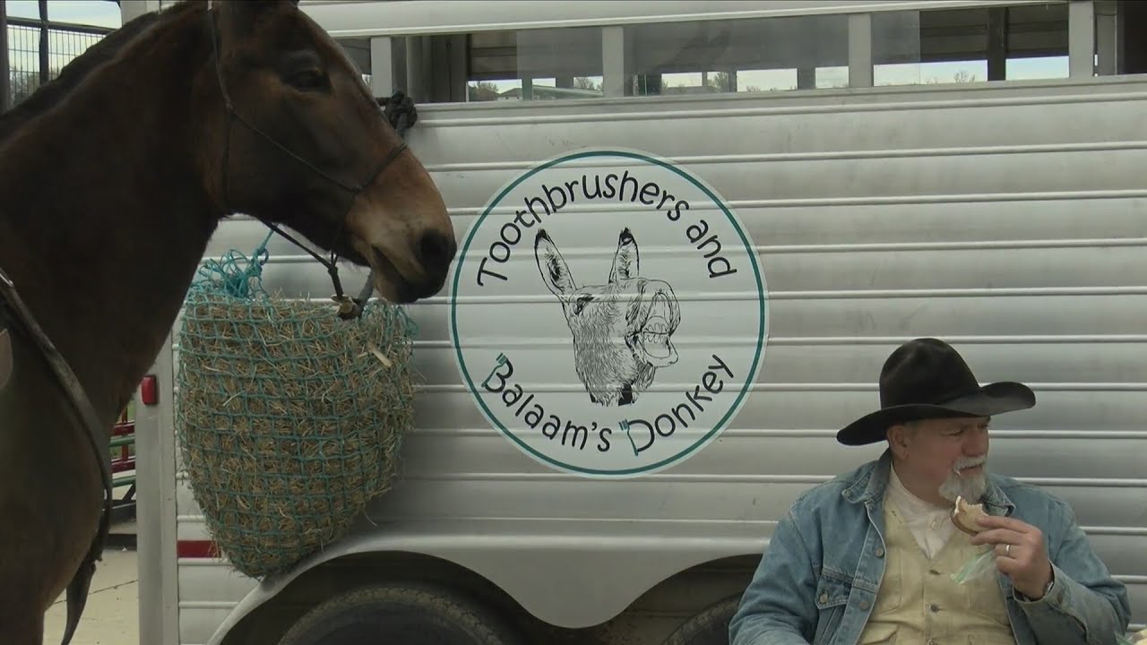 Man Rides Mule Across IA - YouTube