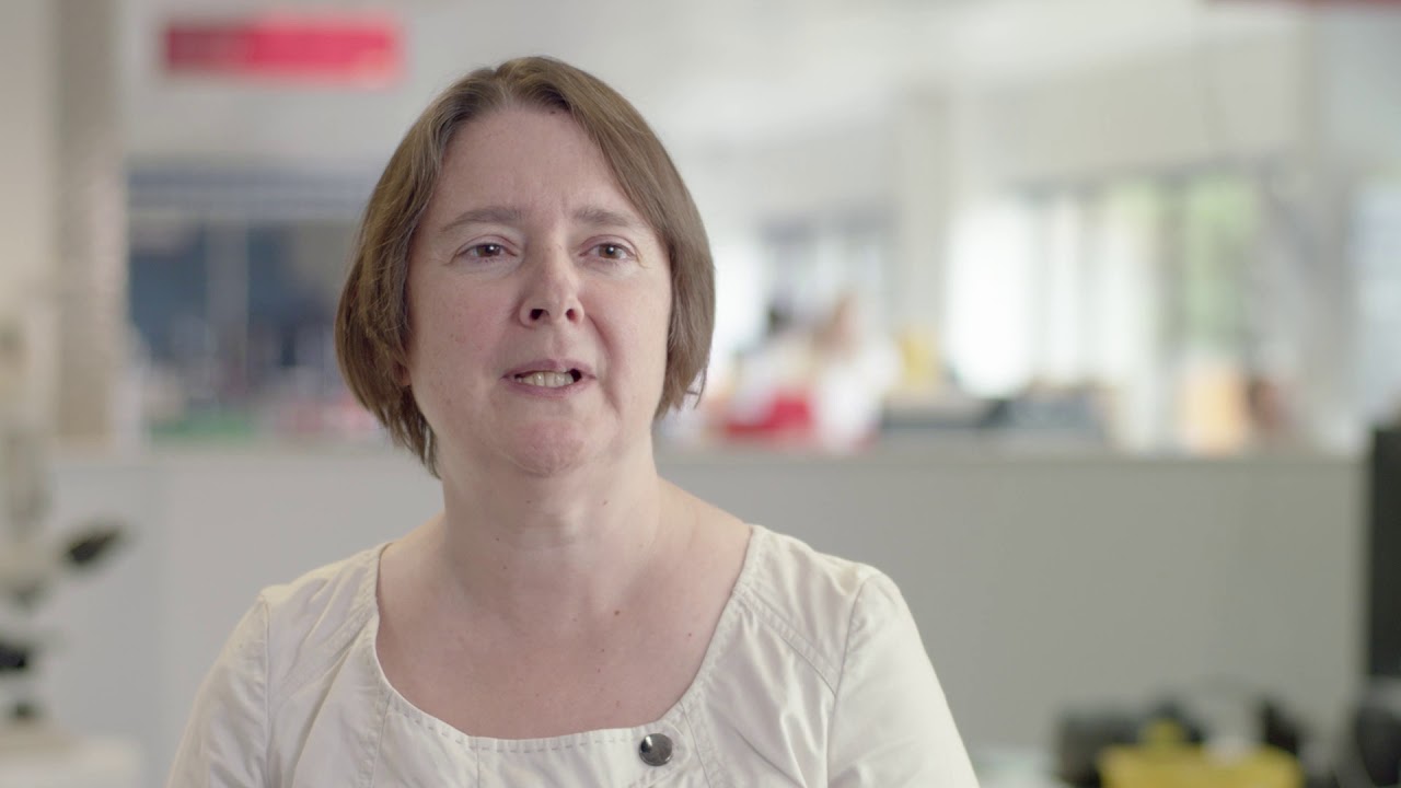 Idexx reference laboratories' global digital pathology network - YouTube