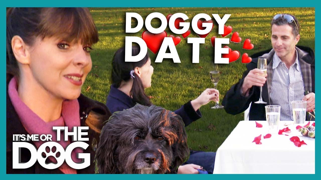 Victoria Sets-Up a DOGGY DATE! | It's Me or The Dog - YouTube