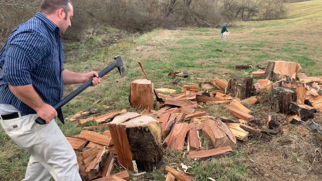 Firewood Adventure #19: Big red oak rounds and brush cleanup - YouTube