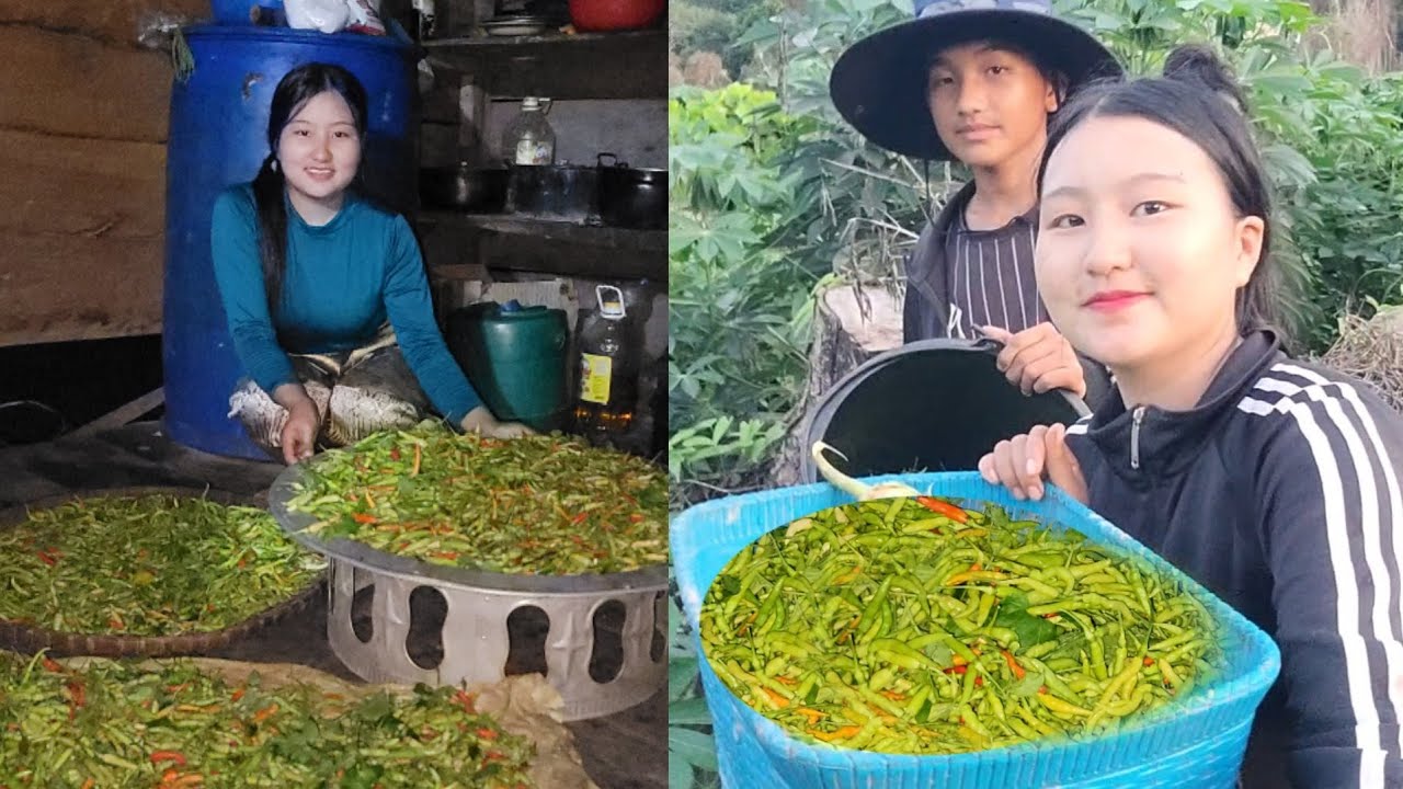 dab tsa wb mu de kuas txob mu muag os - YouTube