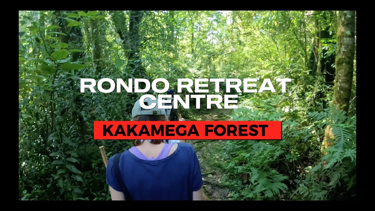 A SAFARI WALK IN THE JUNGLE OF KAKAMEGA FOREST KENYA 🇰🇪 - YouTube