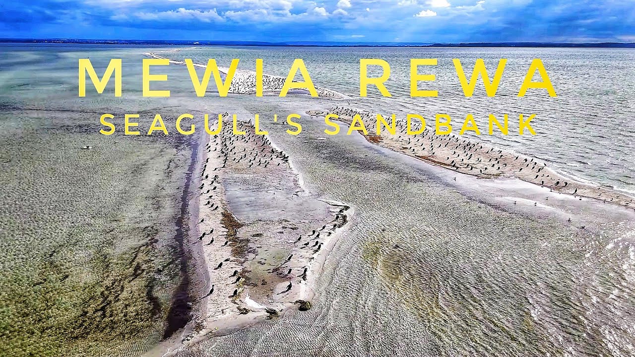Mewia Rewa (Seagull's Sandbank) - YouTube