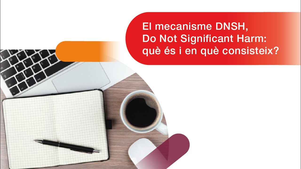 El Mecanisme DNSH Do Not Significant Harm Qu s I En Qu Consisteix