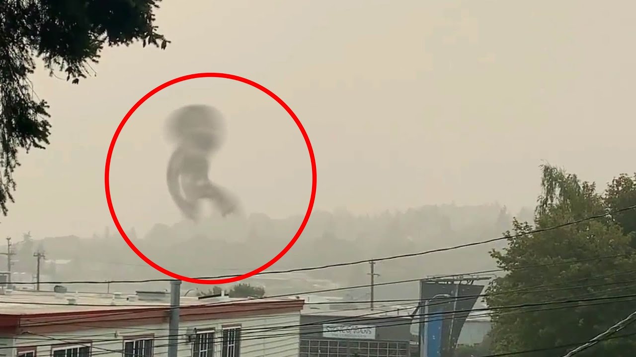 5 Mythical creature sighting - Paranormal TOP 5 - YouTube