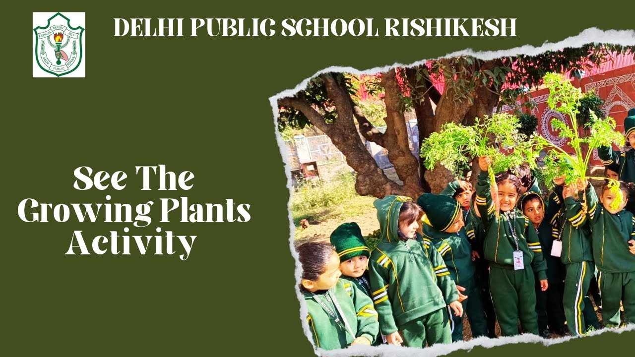 SEE THE GROWING PLANTS ACTIVITY (Grade Pre-Nursery to Grade 2) - YouTube