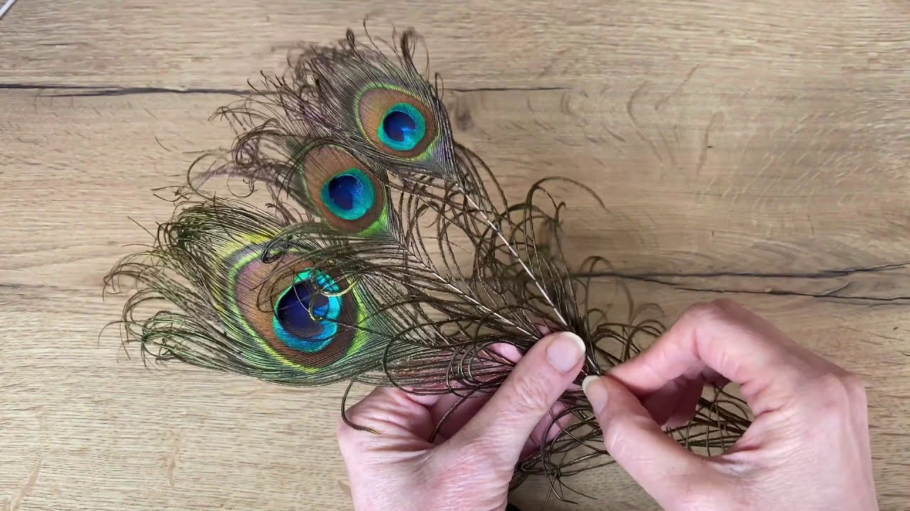 HOW TO CURL A PEACOCK FEATHER Millinery feathers shaping/curling - YouTube
