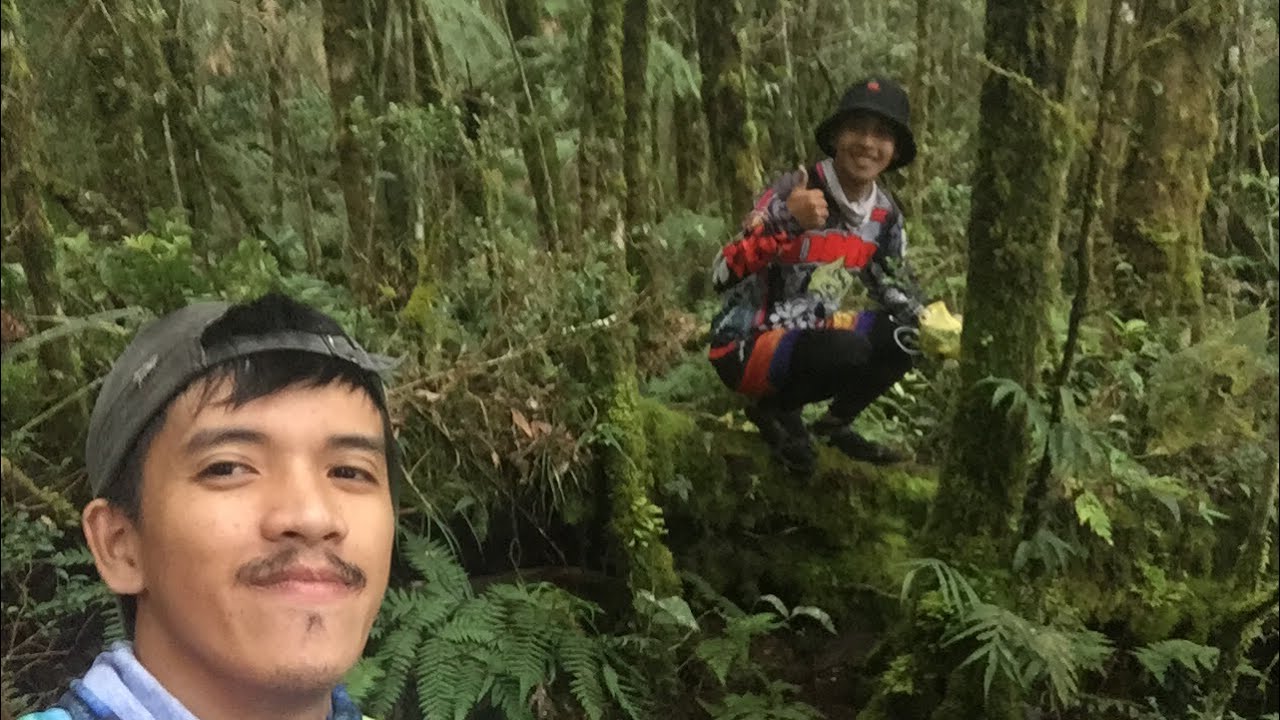 Tagurano Trail 👣👣 - YouTube