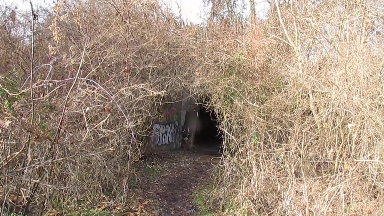 More Mothman, TNT area - YouTube
